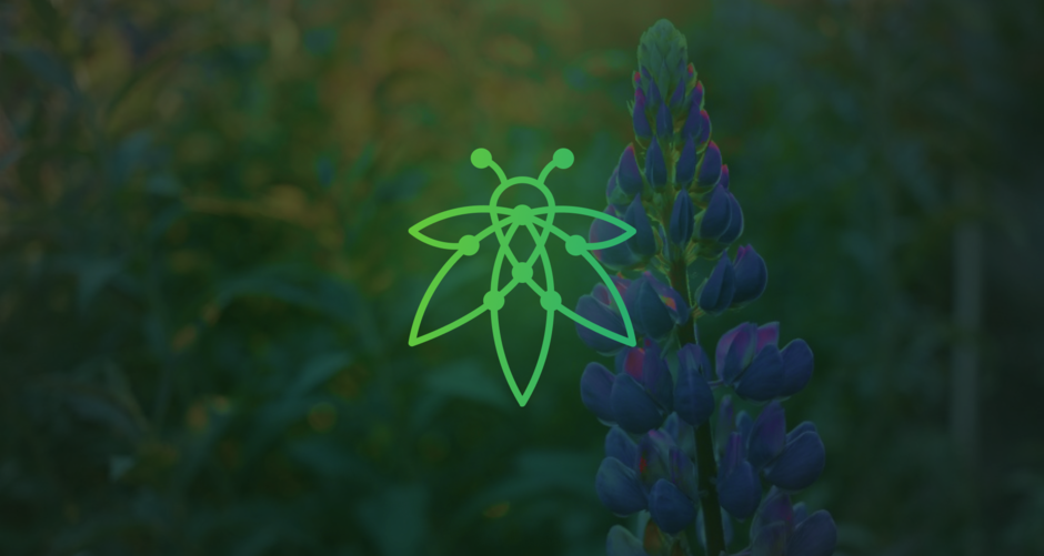 Social App — Mobile app Design and Development Project Case